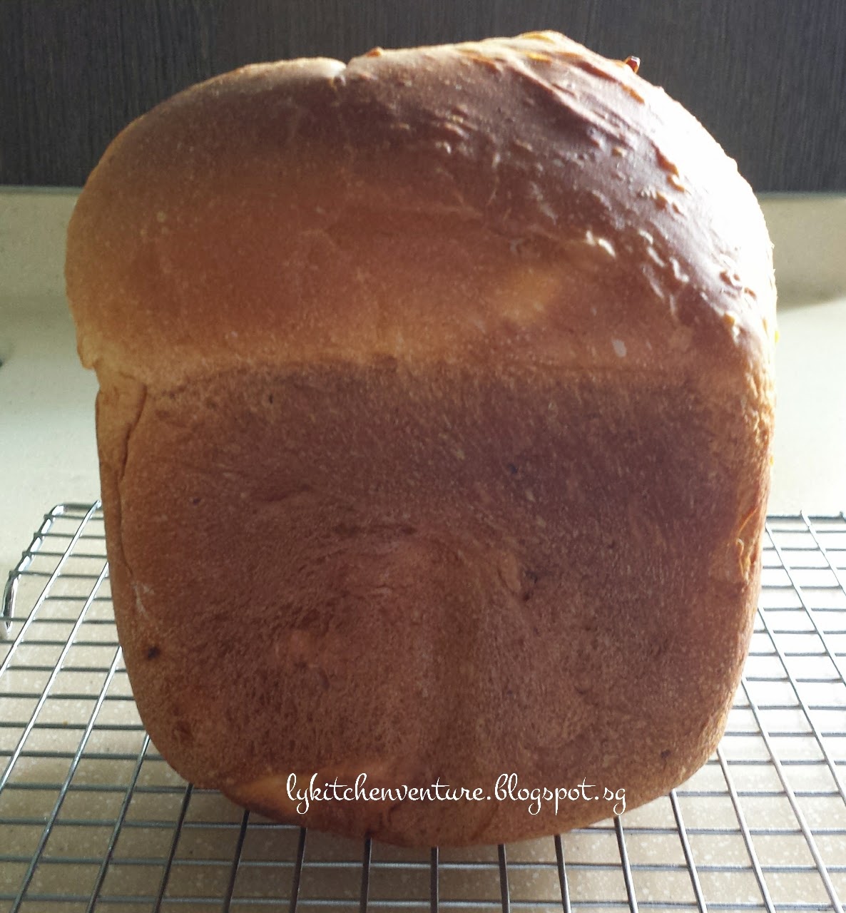 LY's Kitchen Ventures: Corn Bread Loaf